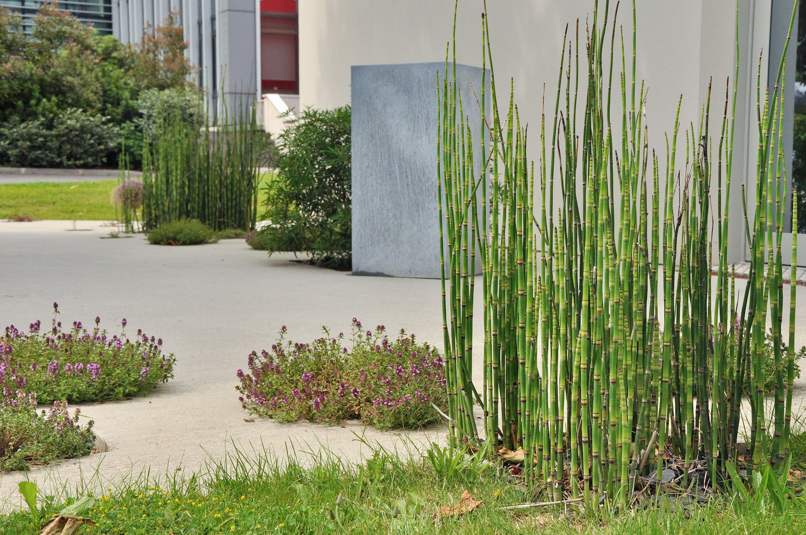 Siège social BPVF - Atelier DLV - Architecte Paysagiste - Concepteur de ...