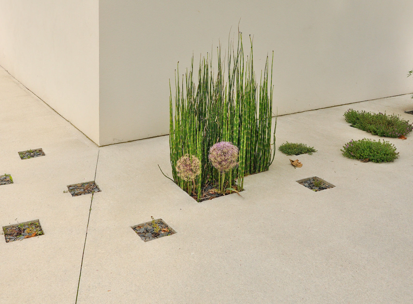 Siège social BPVF - Atelier DLV - Architecte Paysagiste - Concepteur de ...