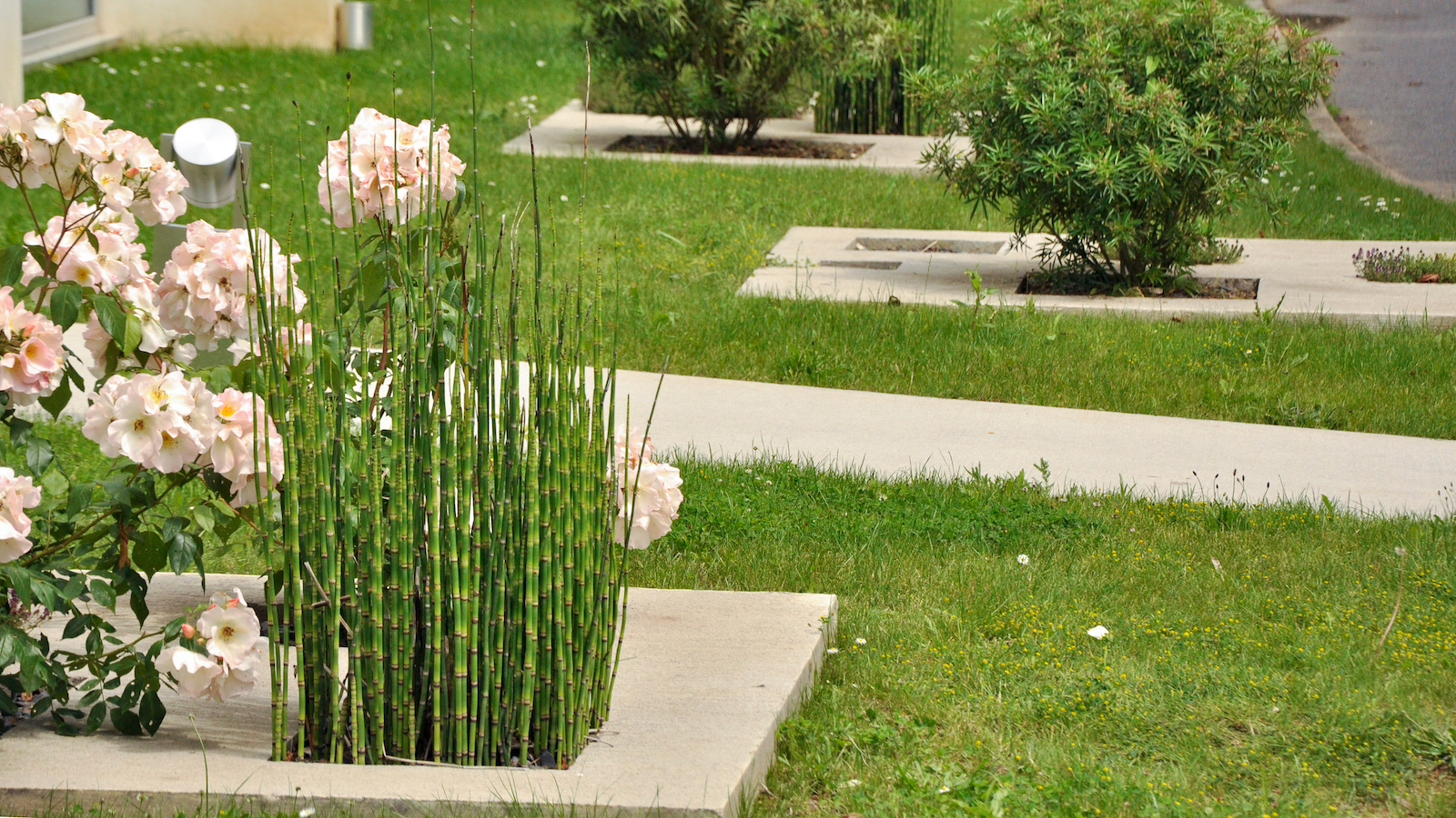 Siège social BPVF - Atelier DLV - Architecte Paysagiste - Concepteur de ...