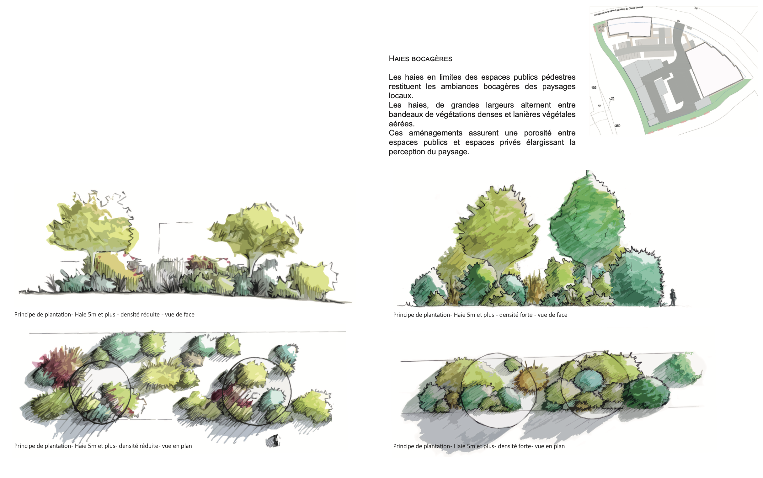 Aménagement paysager de bureaux à Rennes