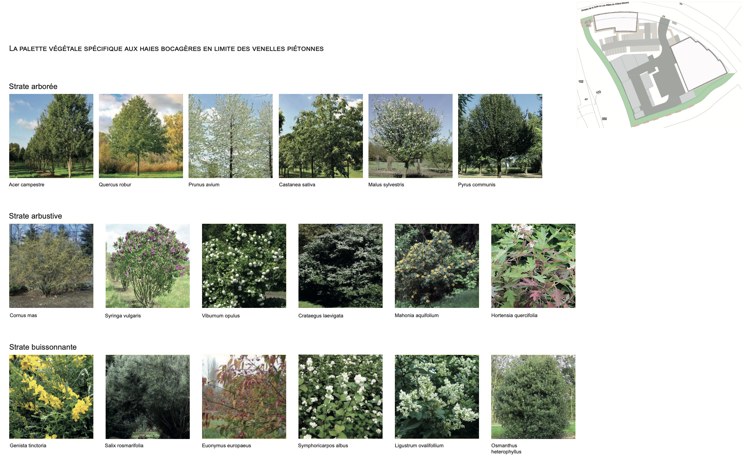 Aménagement paysager de bureaux à Rennes